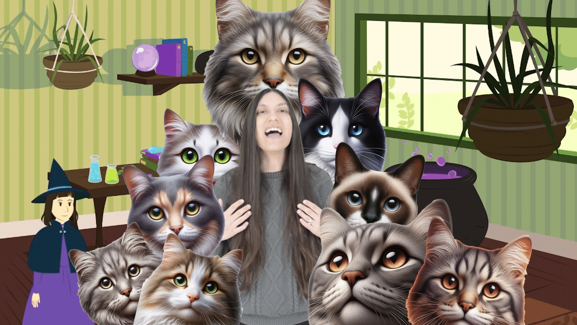 Cats Everywhere! - Coding For Kids Codakid